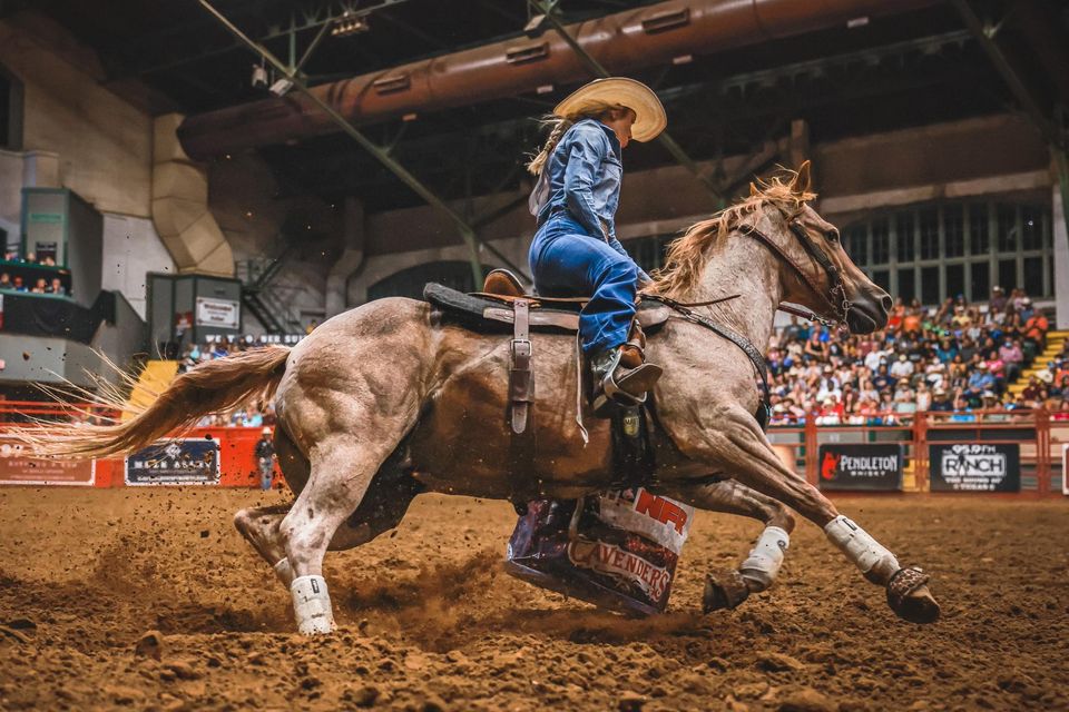 Lady A Horse Performance LLC – Horse Boarding near me | Horse Boarding ...